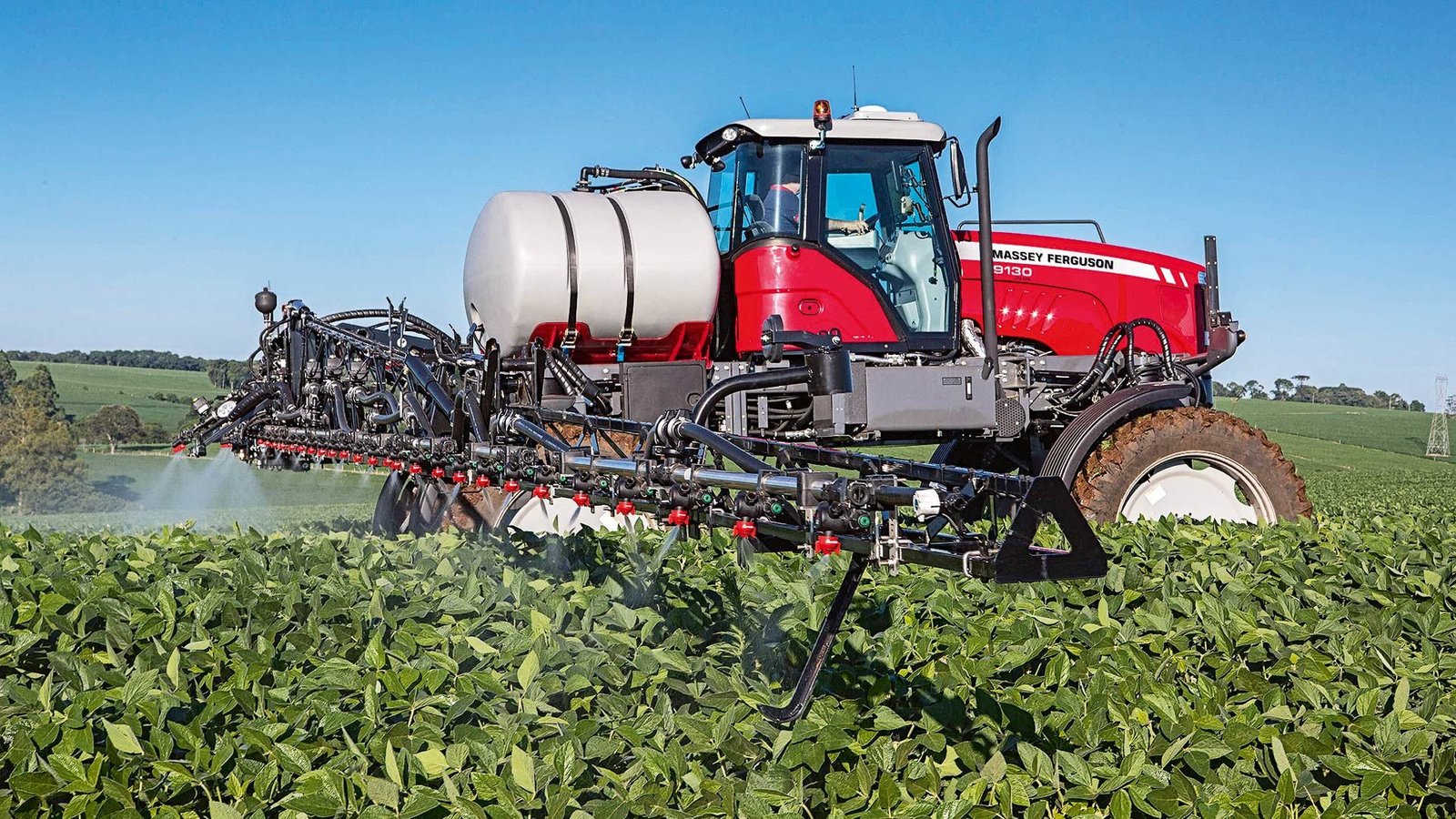 Qué servicios ofrece Ama Oil y Cía SRL en el mercado argentino